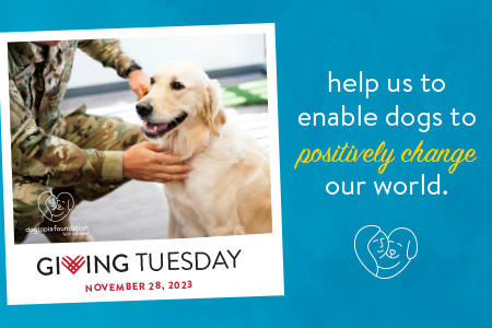 🐾 **Give Love, Give Hope: Join Us for Giving Tuesday at Dogtopia of ...