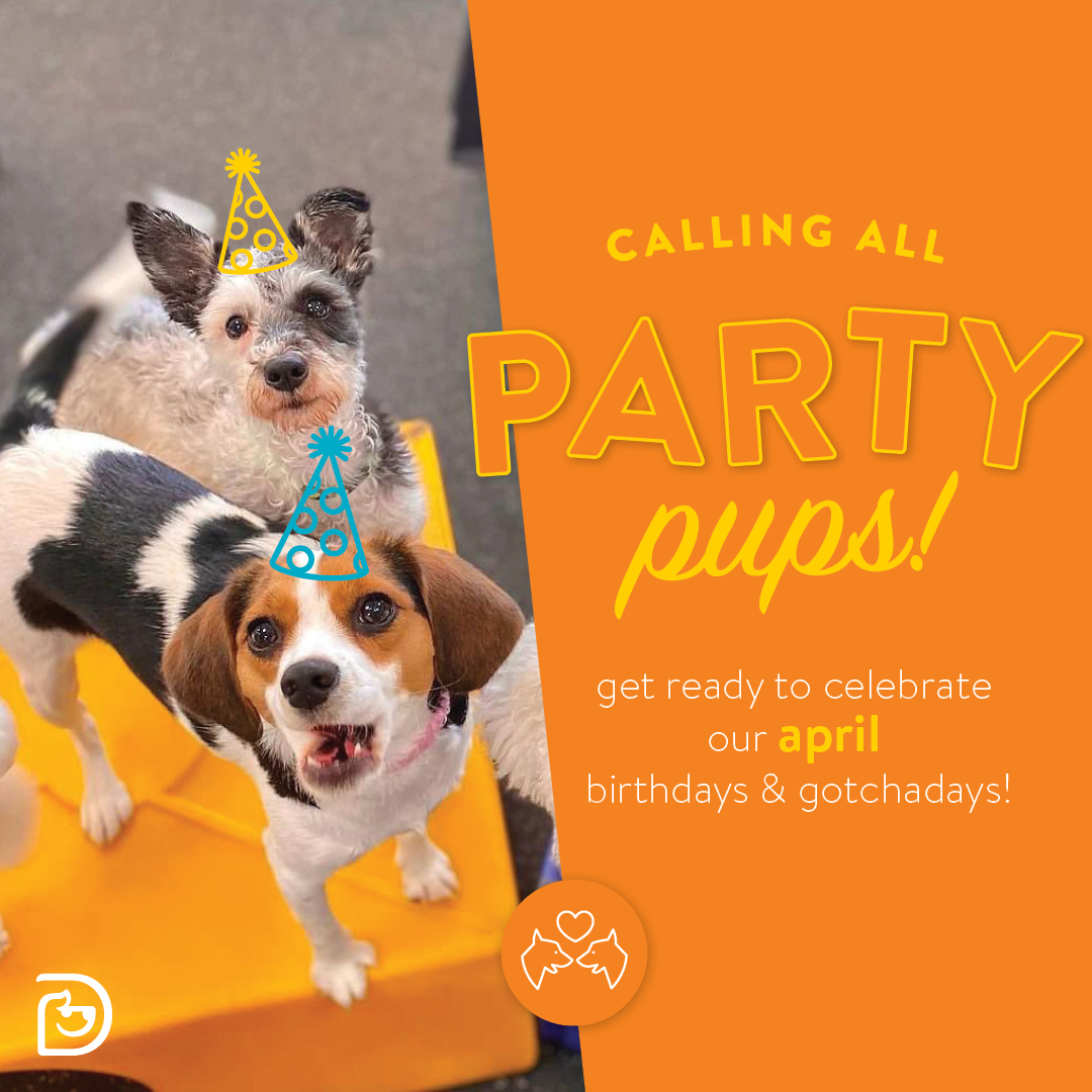 April Birthdays & Gotcha Day Party - Orlando - Longwood