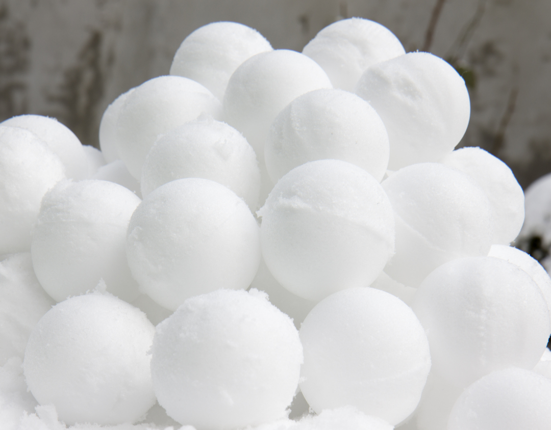 Snowball Festival - Orlando - Longwood