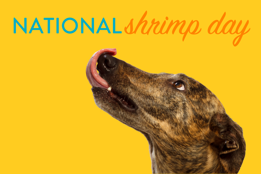 National Shrimp Day! - Orlando - Sanford
