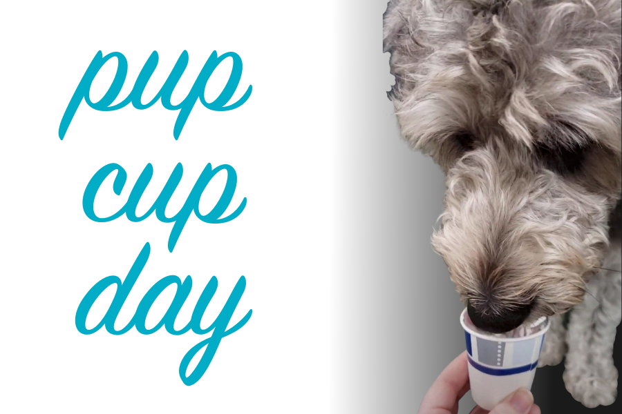 Pup Cup Day - Orlando - Sanford