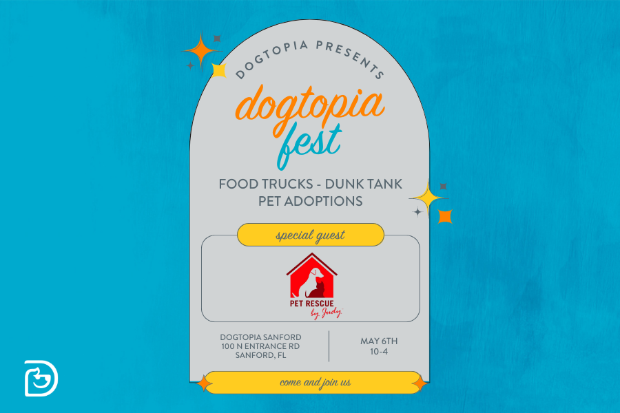Dogtopia Fest - Orlando - Sanford