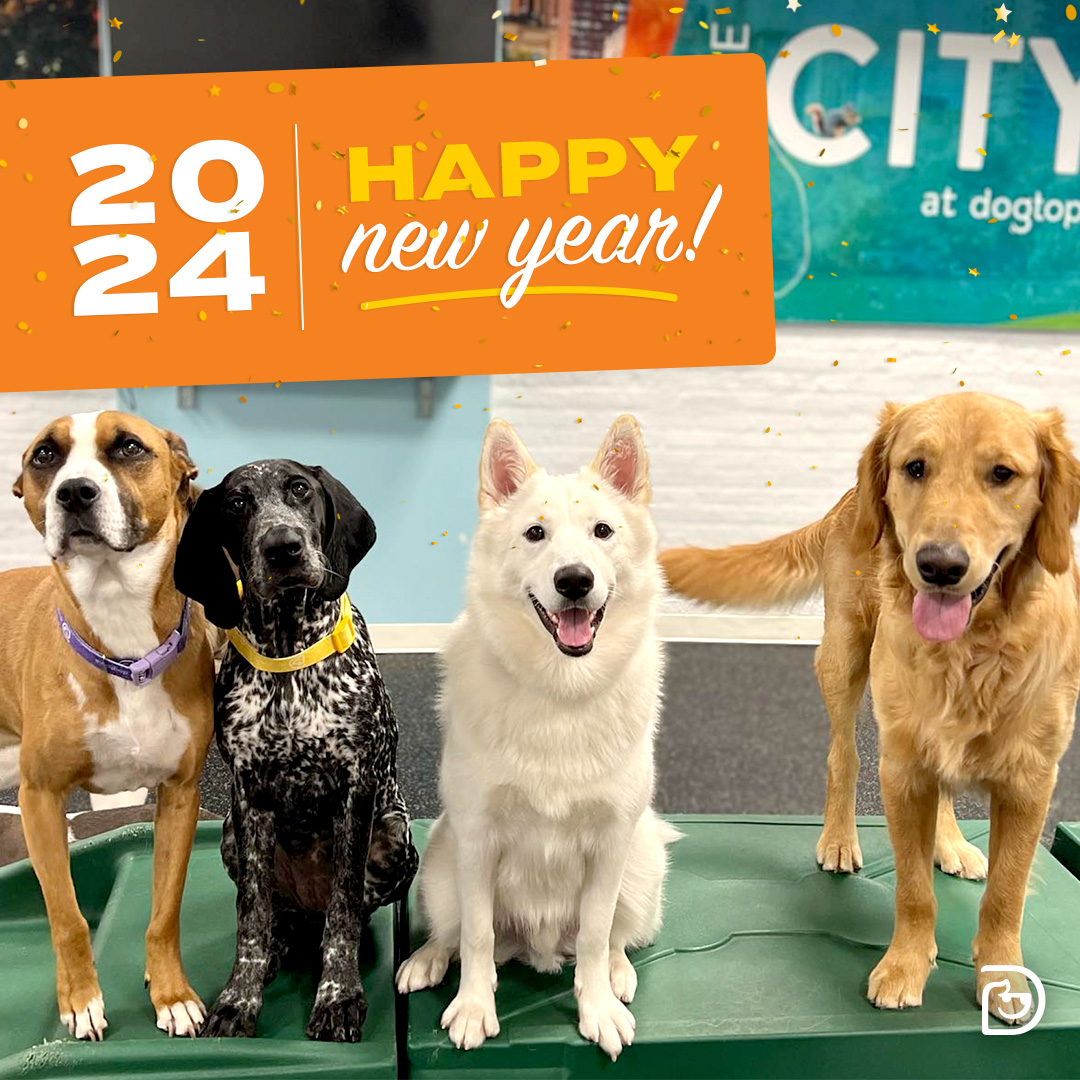 2024 Countdown Celebration - Orlando - Sanford