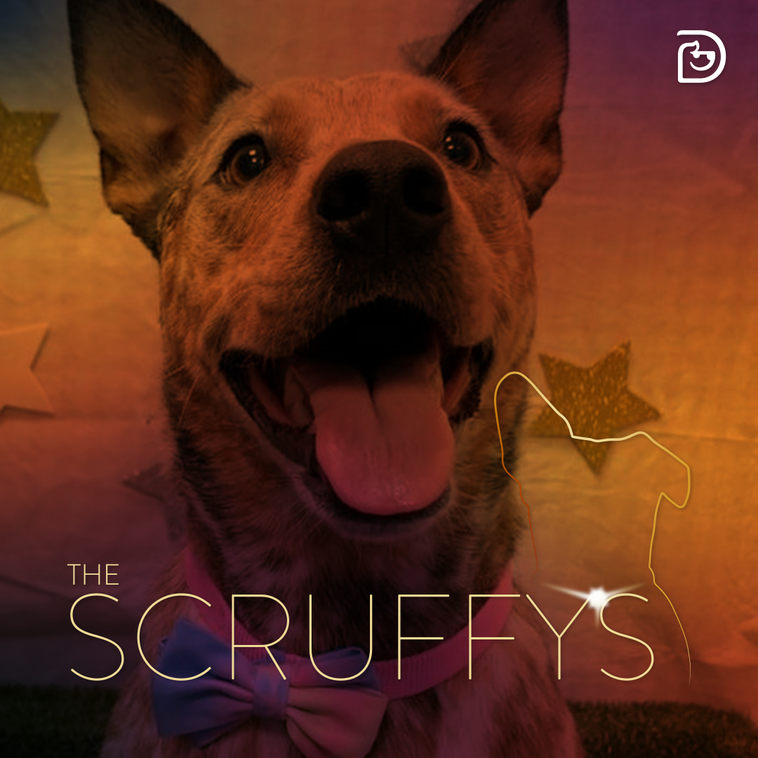 The Scuffy's Red Carpet - Orlando - Sanford