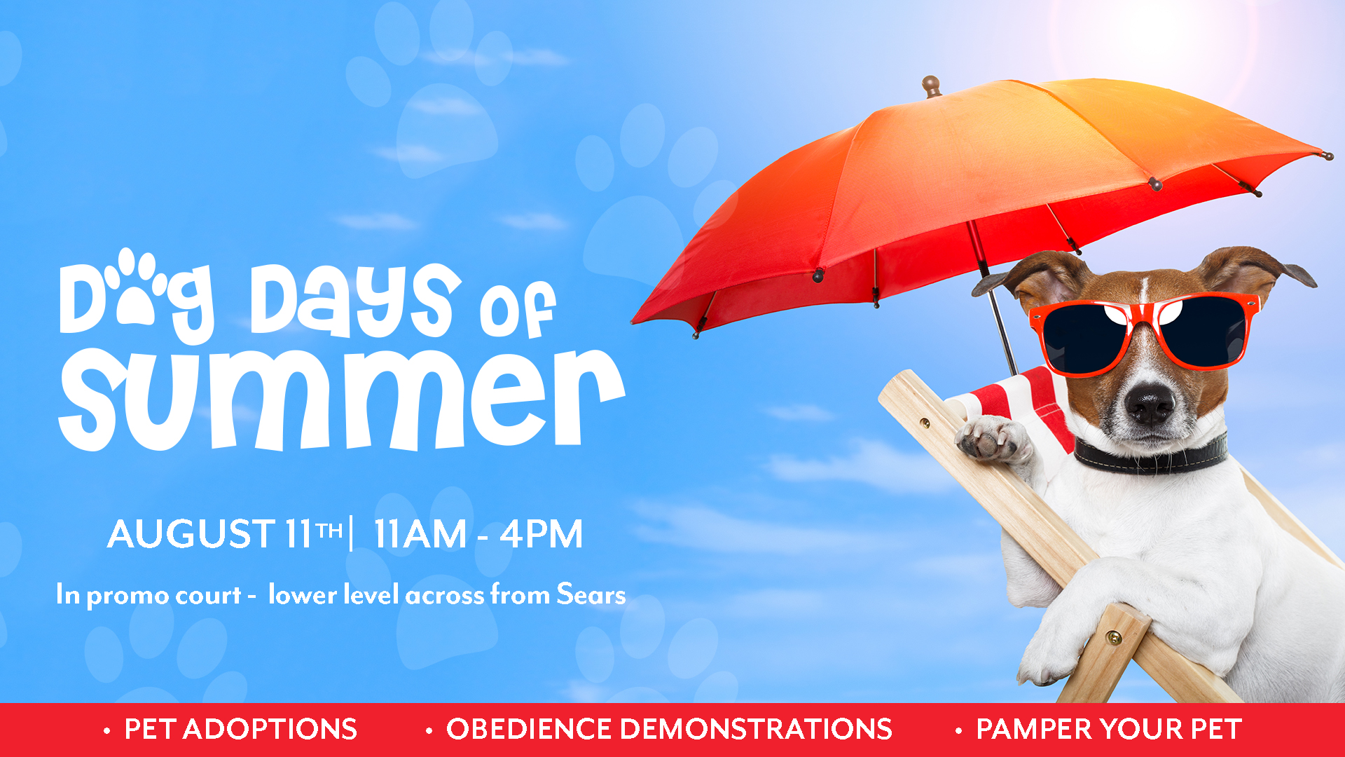 Dog Days of Summer - North Raleigh