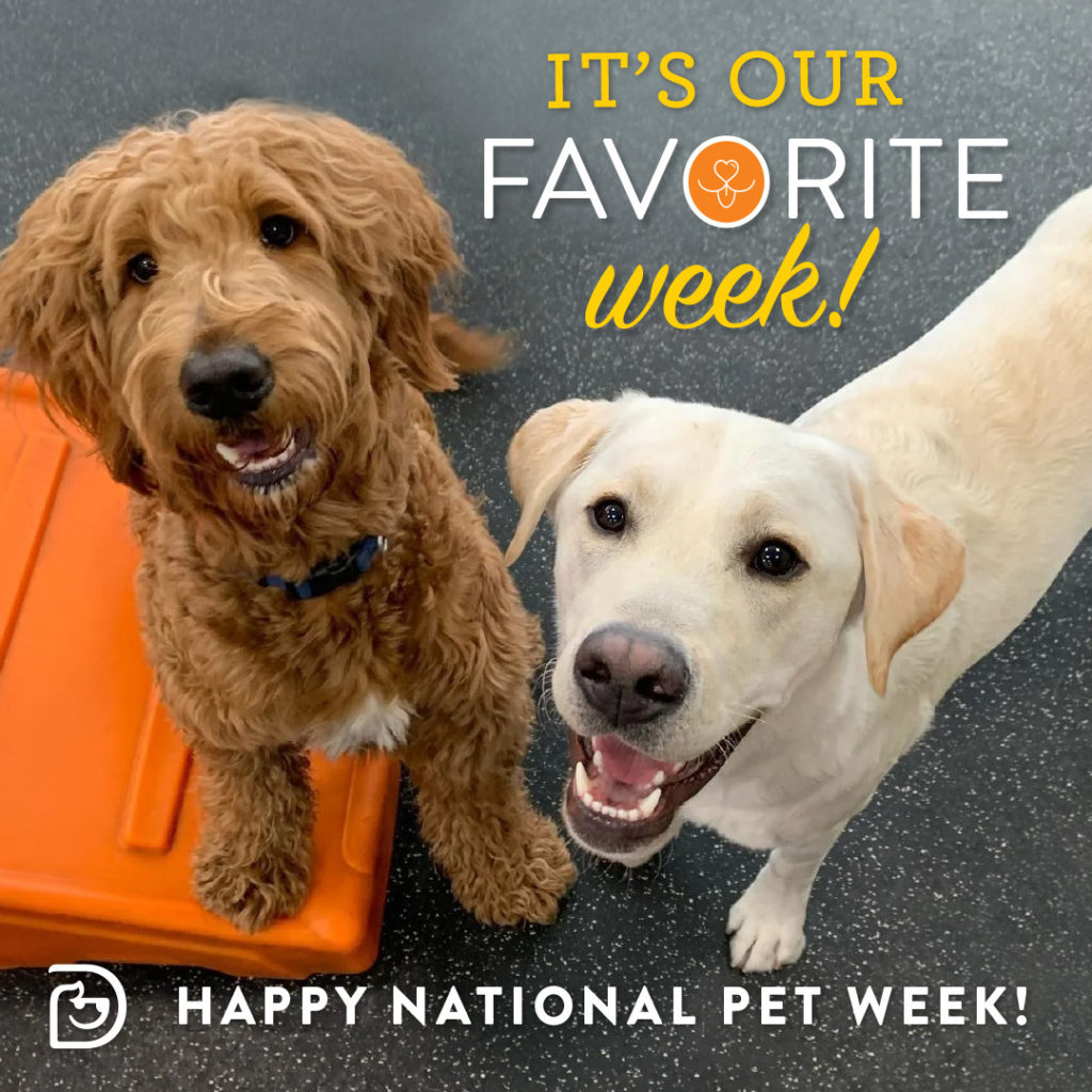 National Pet Week - North Raleigh
