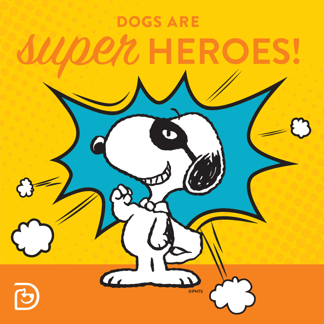 National Superhero Day - North Raleigh