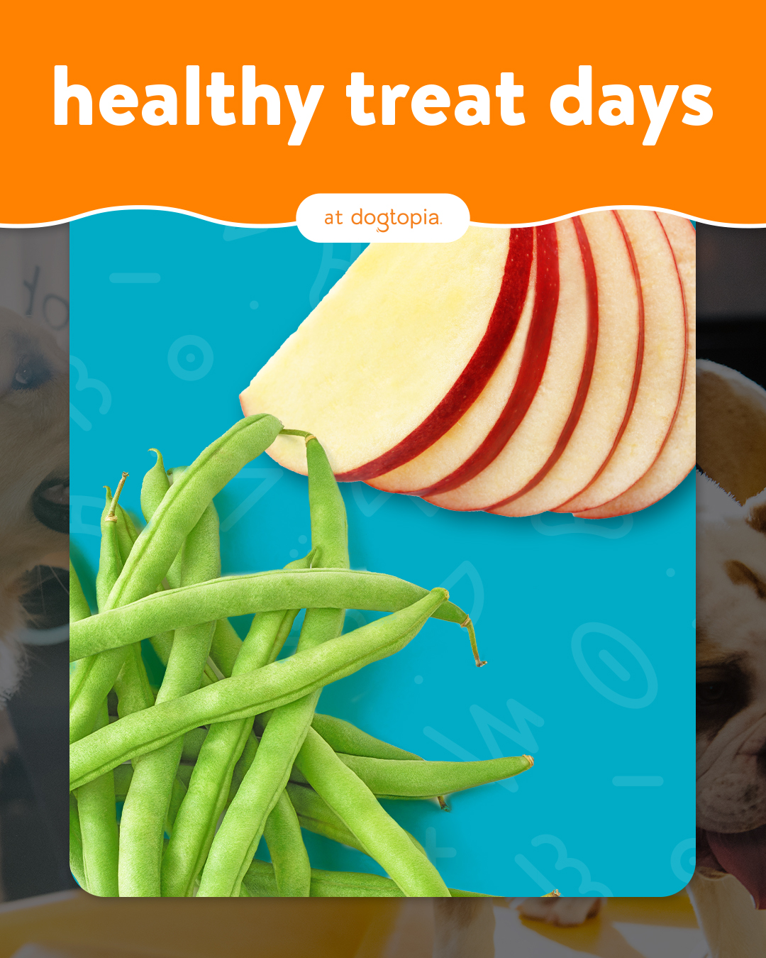 Healthy Treat Day - North Raleigh