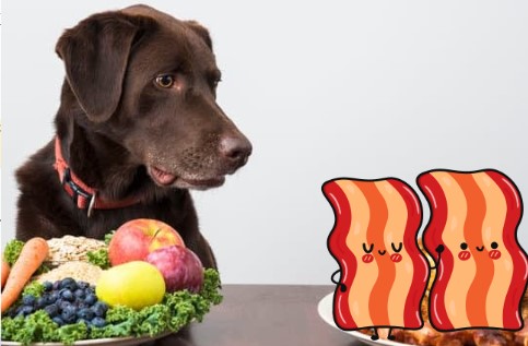 Bacon for the Foundation - Jacksonville Beach Boulevard