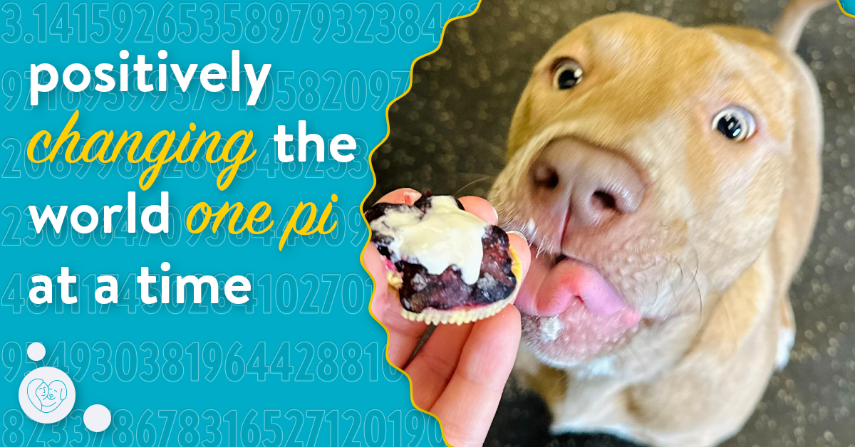 National Pi Day for the Foundation - Jacksonville Beach Boulevard