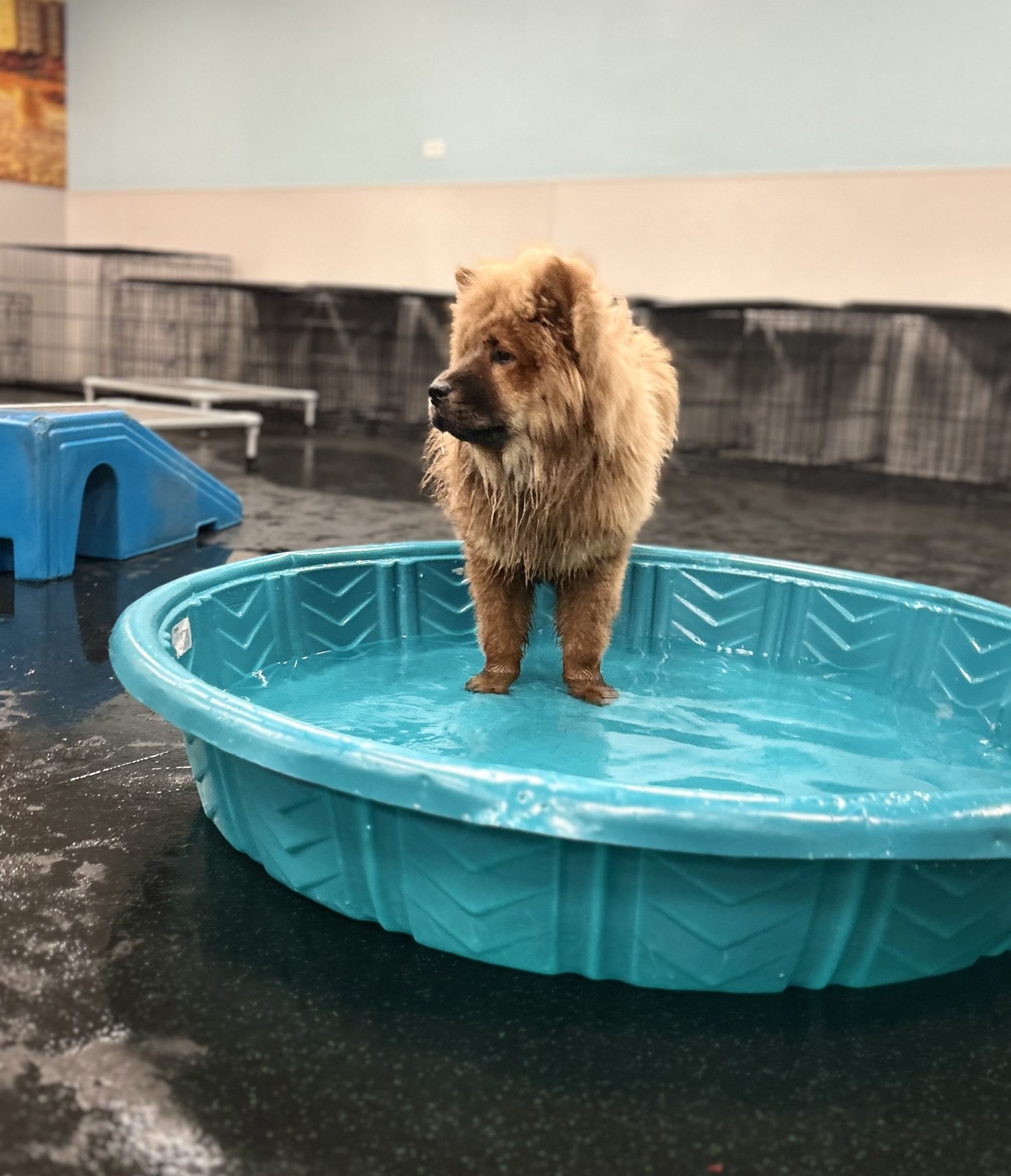 End Of Summer Pool Party - Jacksonville Beach Boulevard