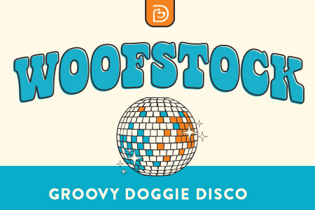 Woofstock Wednesday- Disco - Four Seasons - Chesterfield