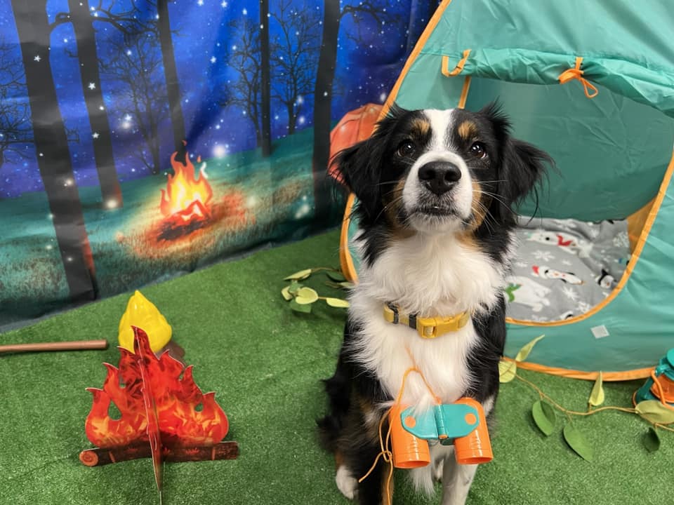 Camping Photoshoot! - Arlington by The Parks
