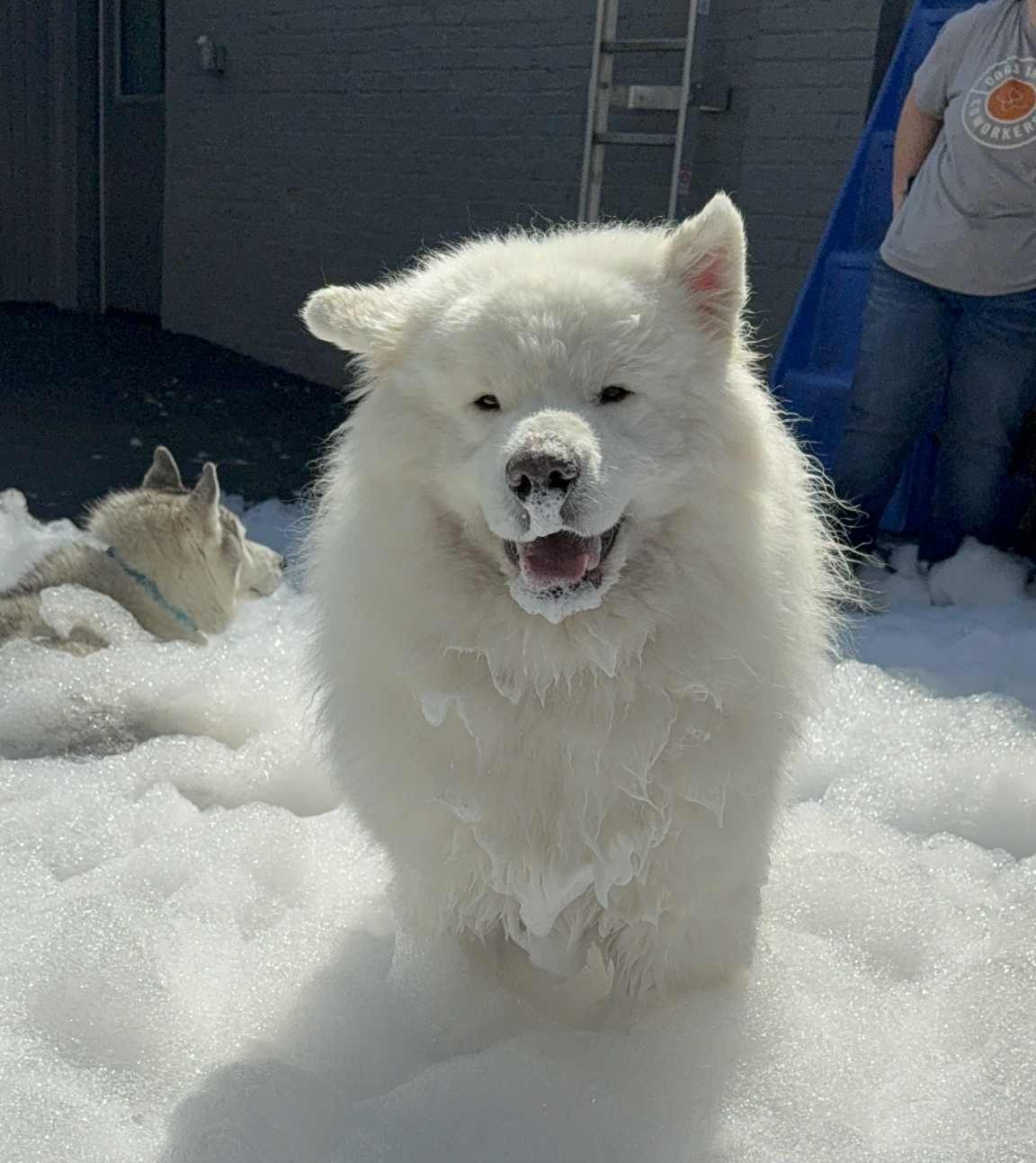 Monster Mash Foam Party - Arlington by The Parks