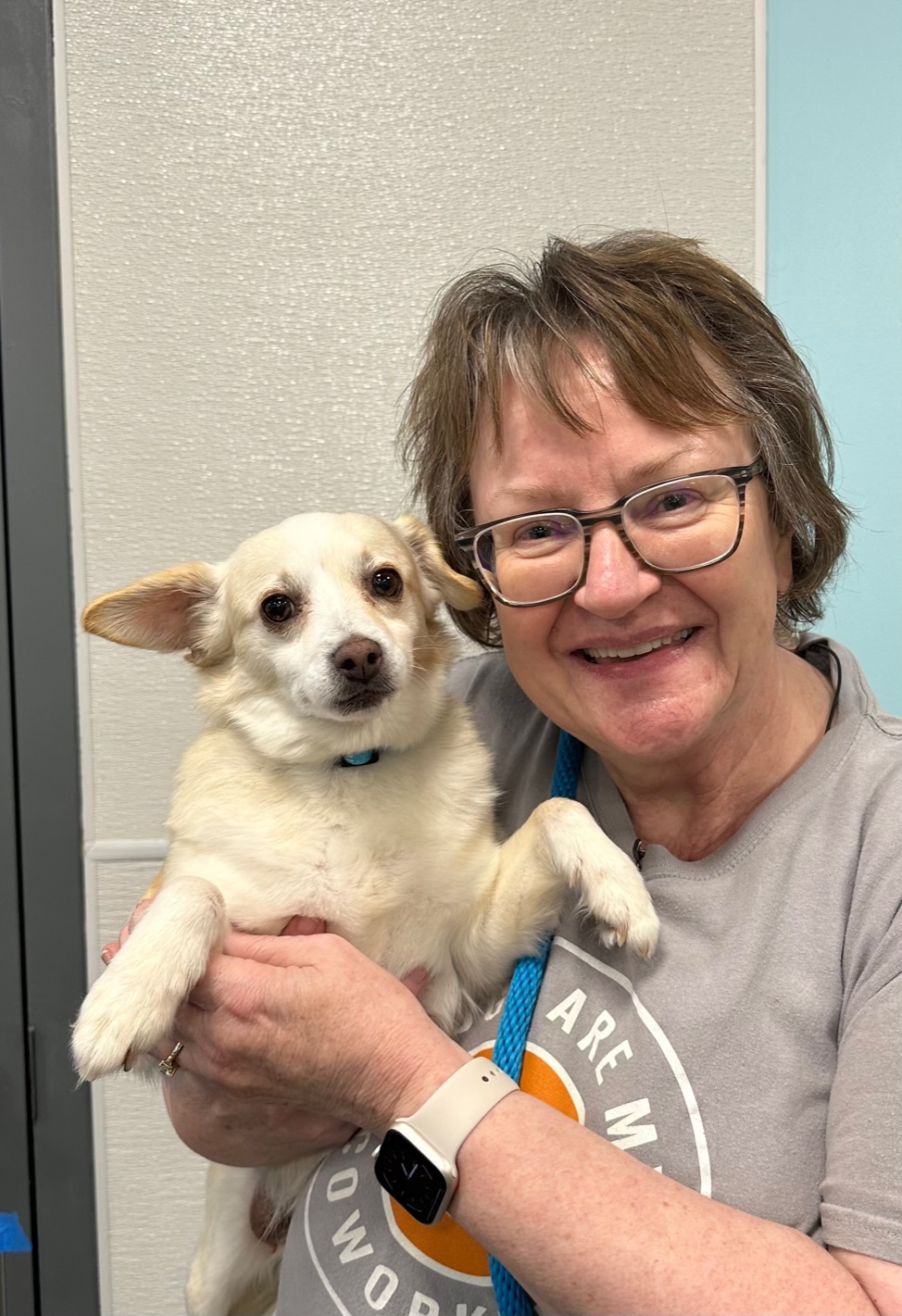 Guess the Dog! - Davis