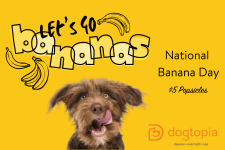 National Banana Day - West Frisco