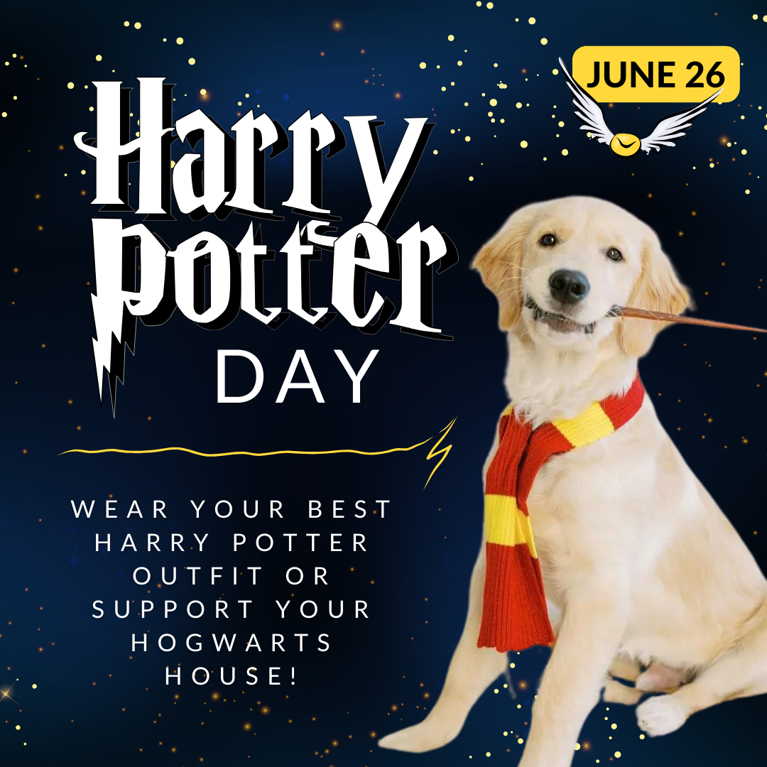 Harry Potter Day - West Frisco