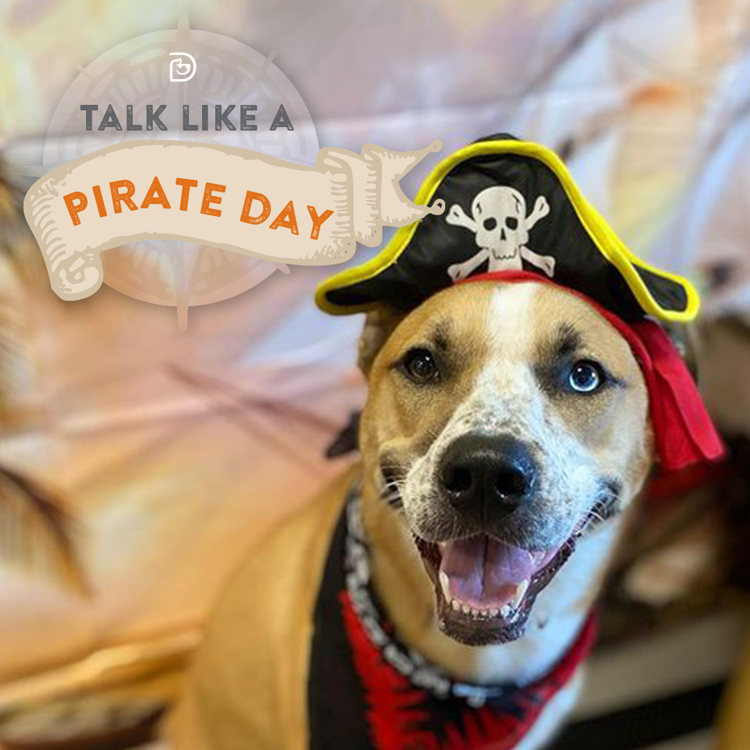 National Talk Like a Pirate Day - West Frisco