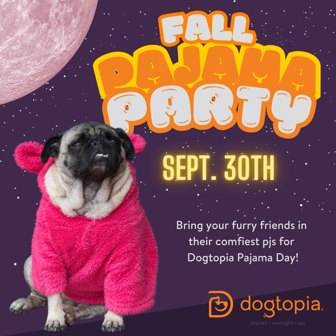 Fall Pajama Party - West Frisco