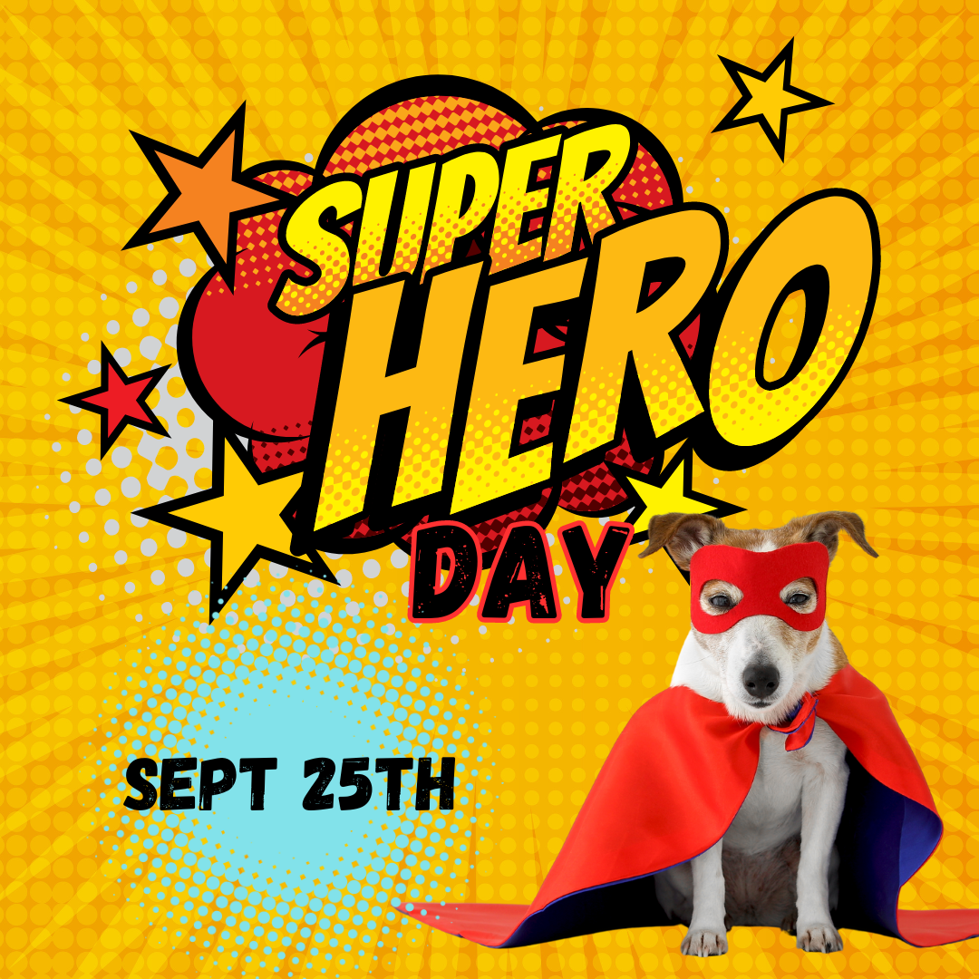 Superhero Day - West Frisco