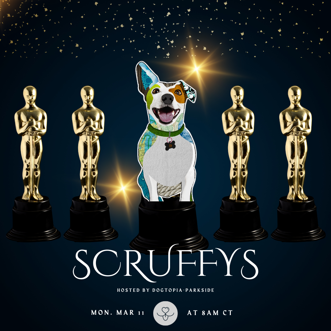 The Scruffy's - Birmingham - Parkside