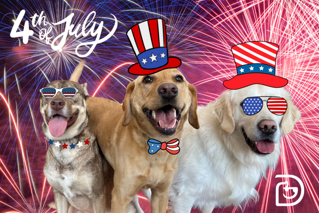 4th of July Boarding at Dogtopia! - Birmingham - Parkside