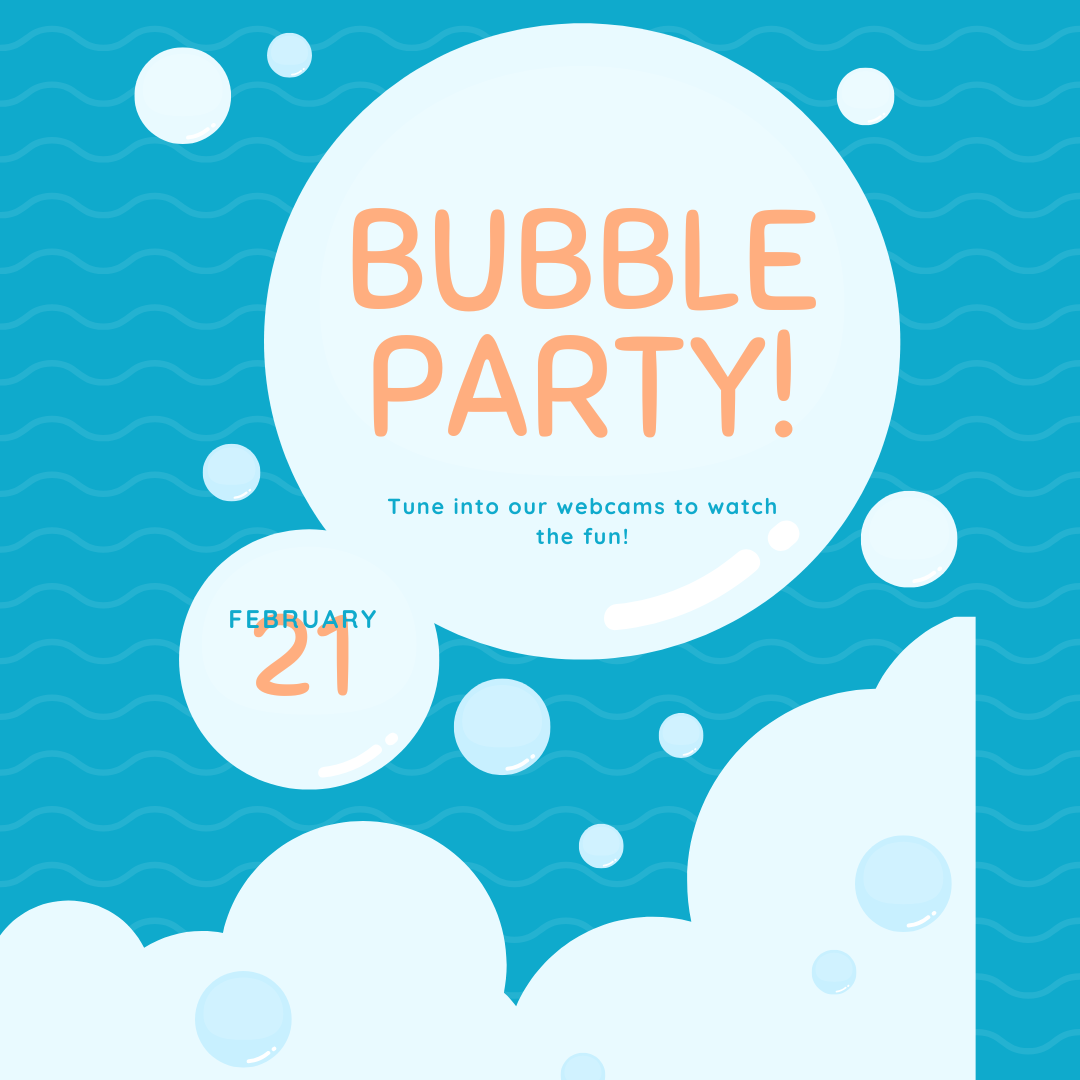 Bubble Party! - Fort Myers
