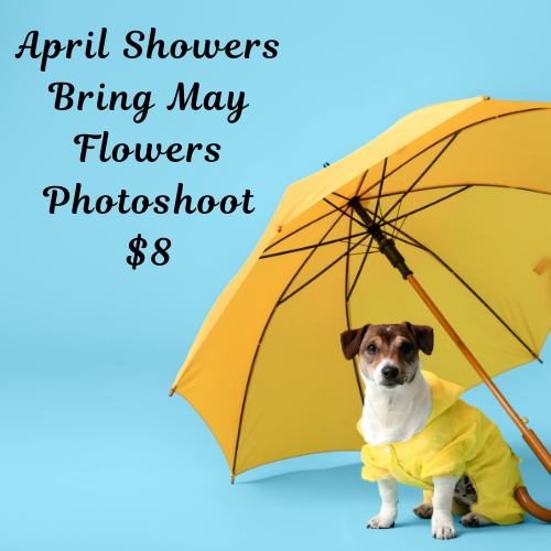 April Showers Bring May Flowers Photoshoot - Fort Myers