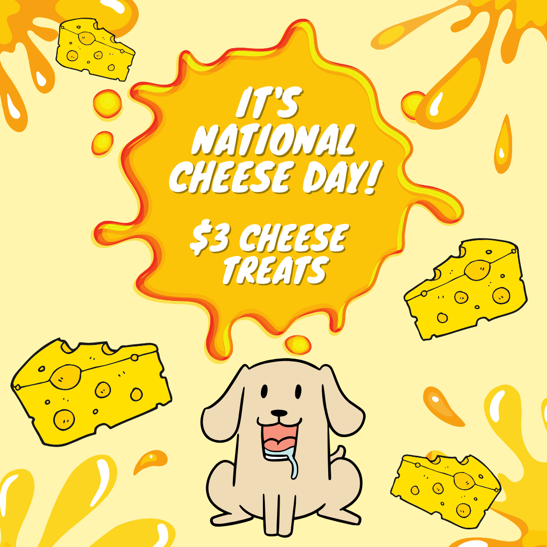 National Cheese Day Treats - Fort Myers