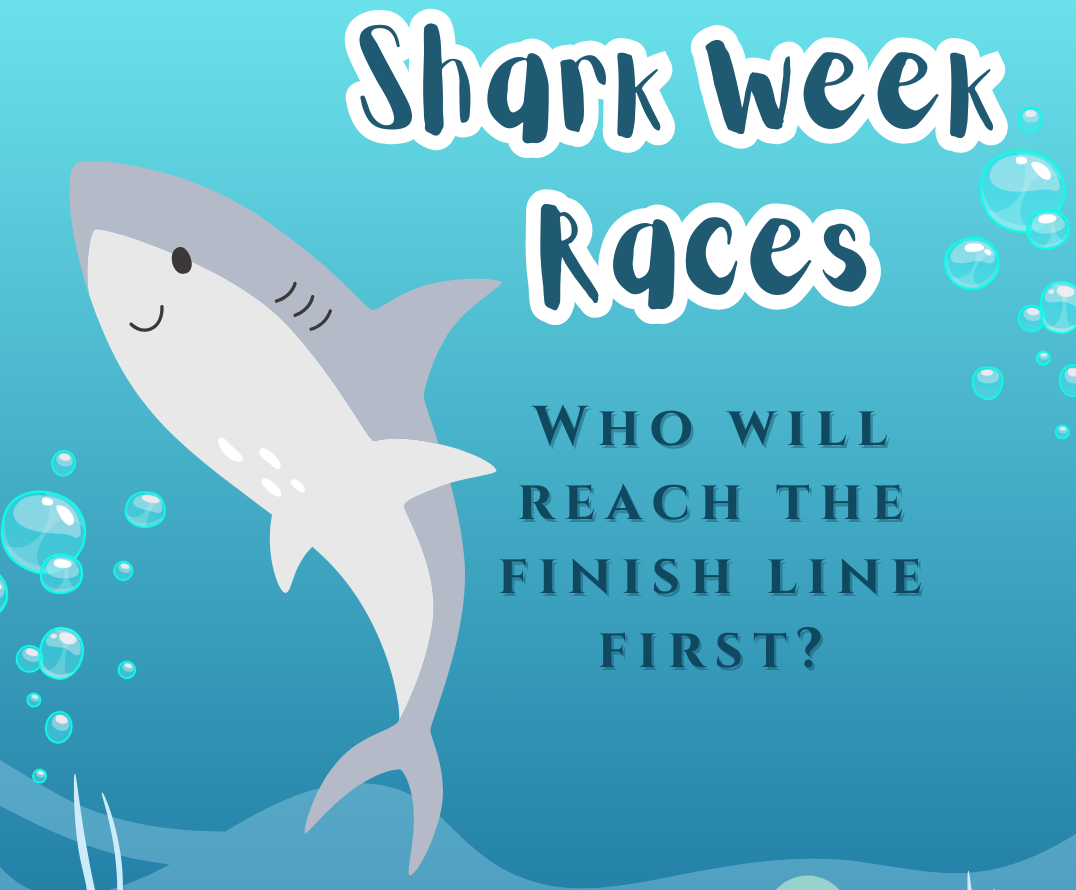 Shark Week Races - Fort Myers