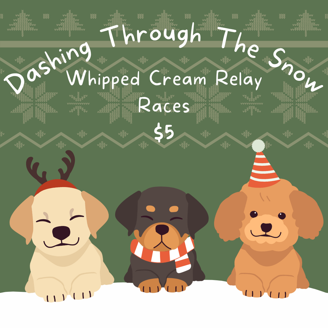 Dashing Through The Snow Relay Race - Fort Myers