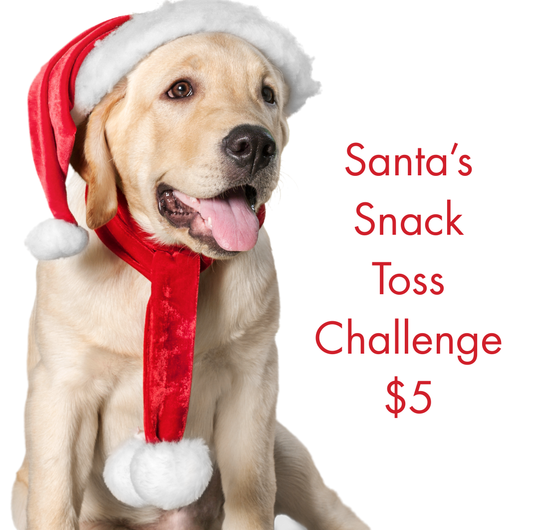 Santa's Snack Toss Challenge - Fort Myers