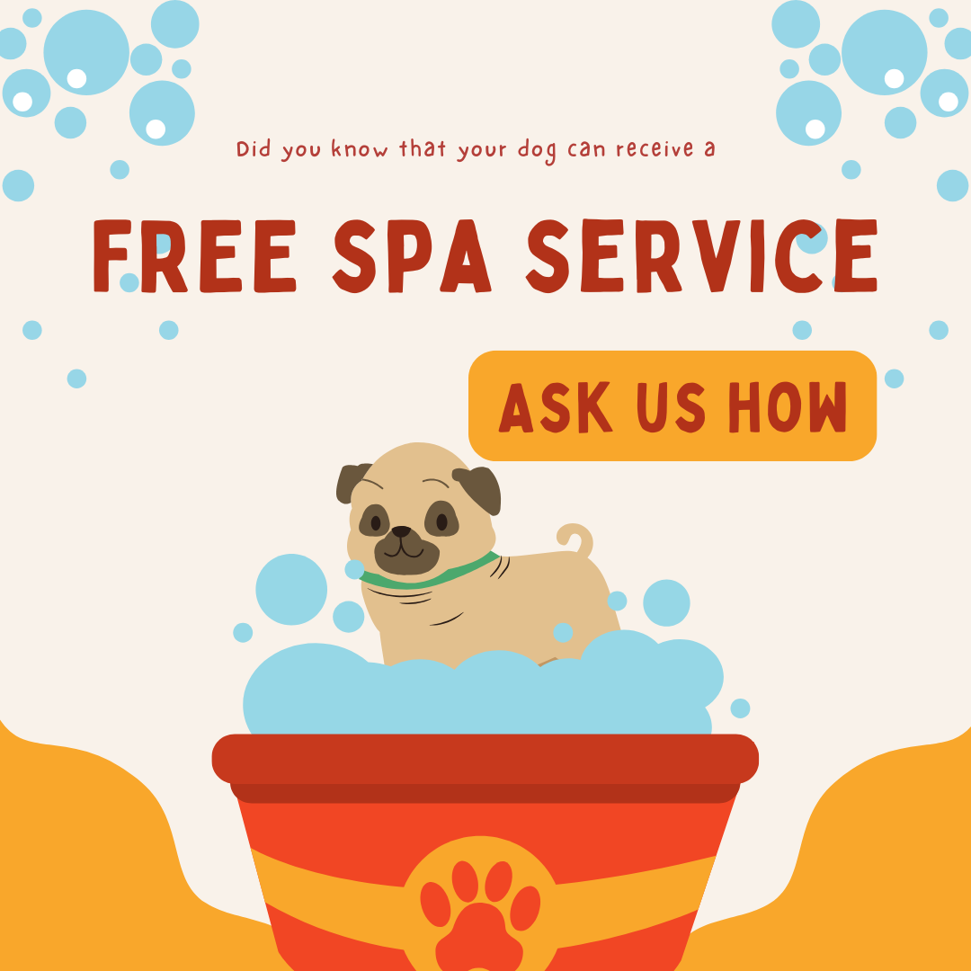 Ask us how to get a FREE spa service! - Fort Myers