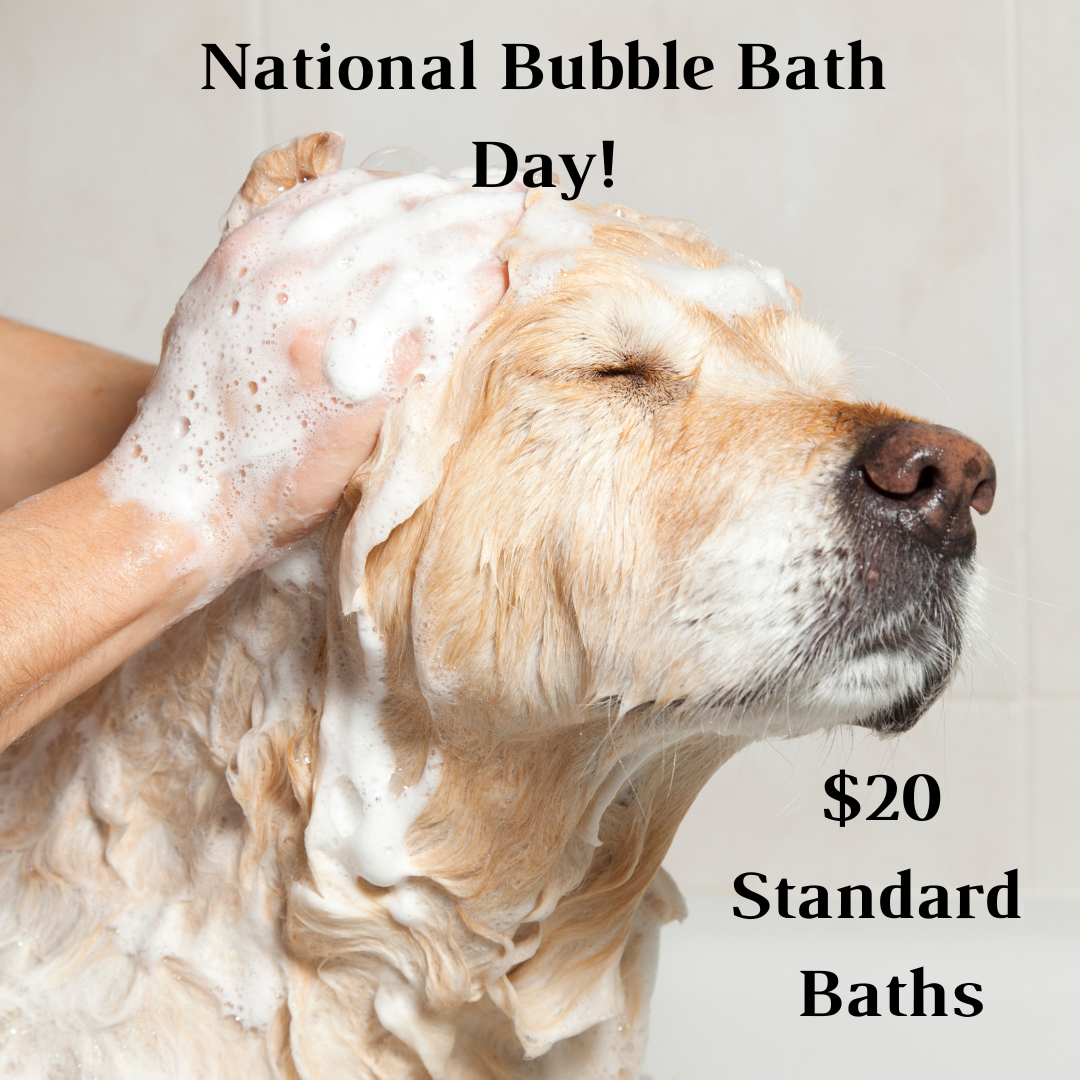 National Bubble Bath Day - Fort Myers