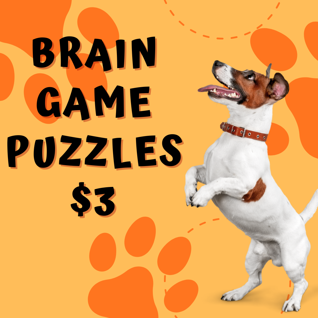 Brain Game Puzzles - Fort Myers