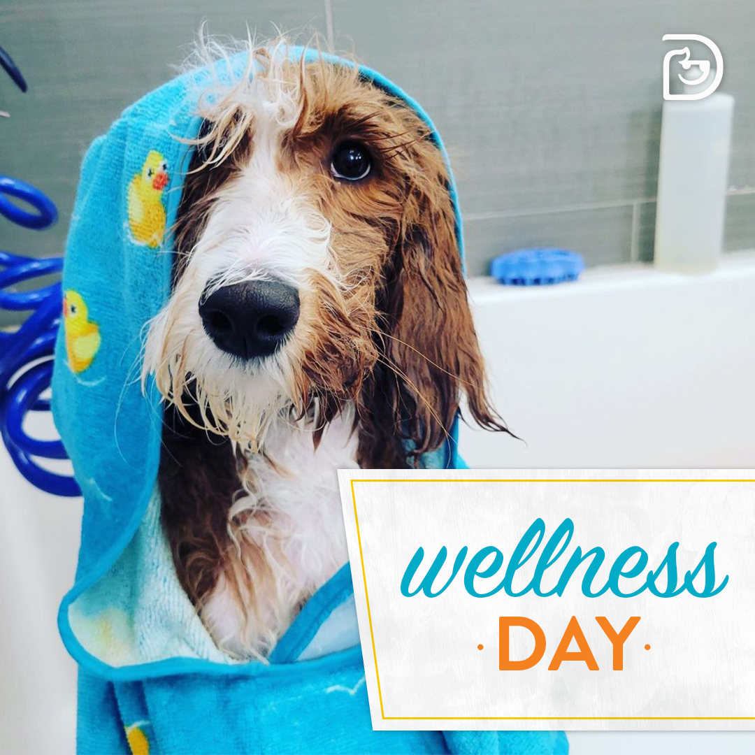 Foundation Bubble Bath Day! - North Overland Park