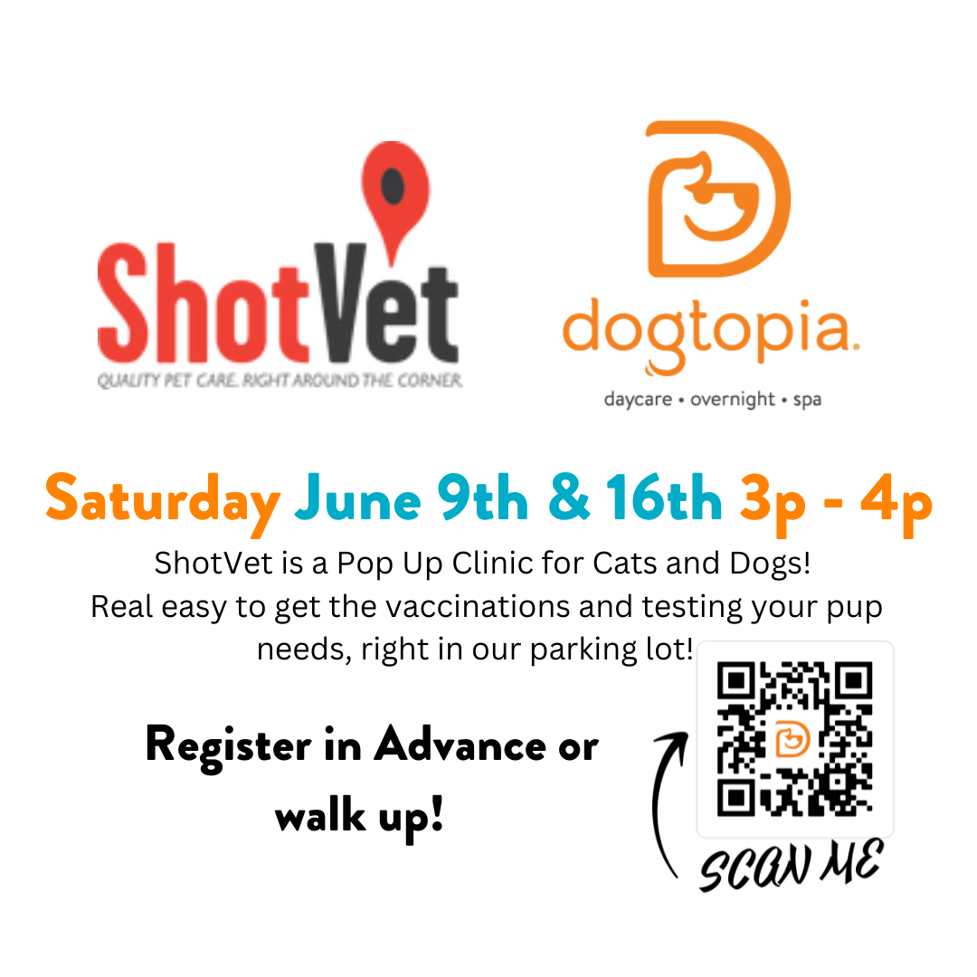 PopUp Vaccine Clinic with ShotVet - North Worcester