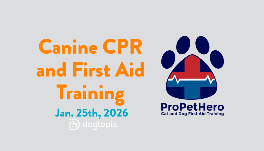 Canine CPR and First Aid Training - Dogtopia of North Worcester