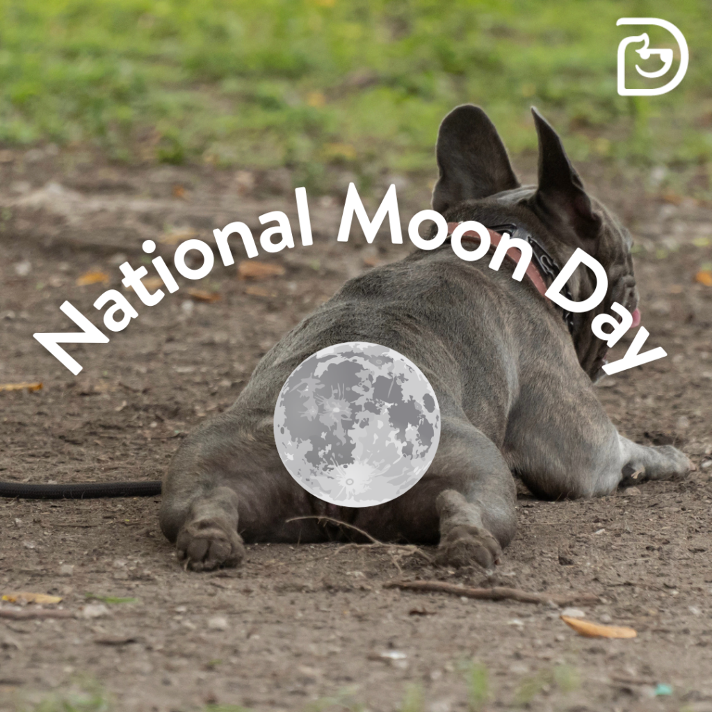 National Moon Day - Houston - Washington Ave