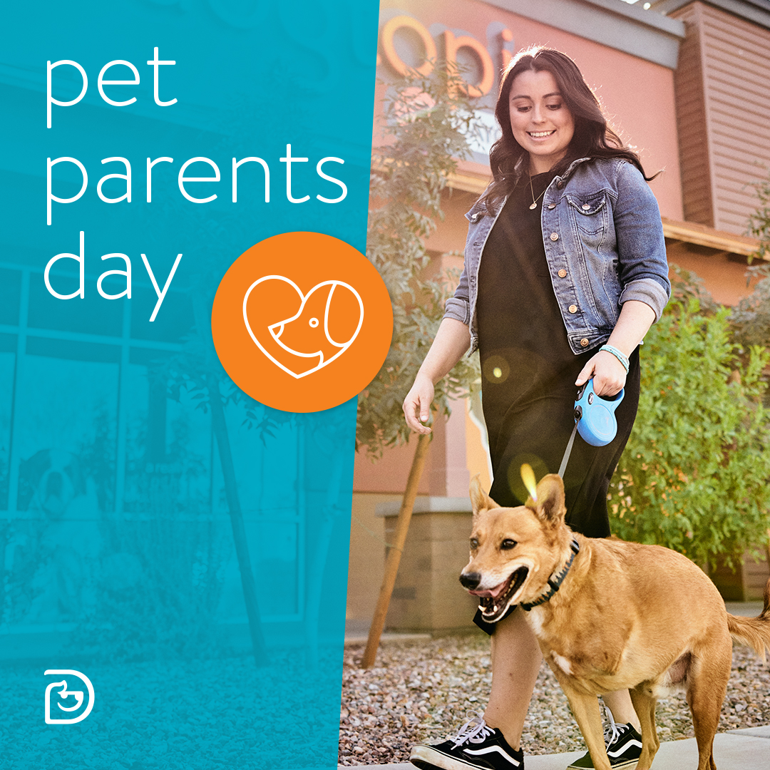 National Pet Parents Day - Houston - Washington Ave