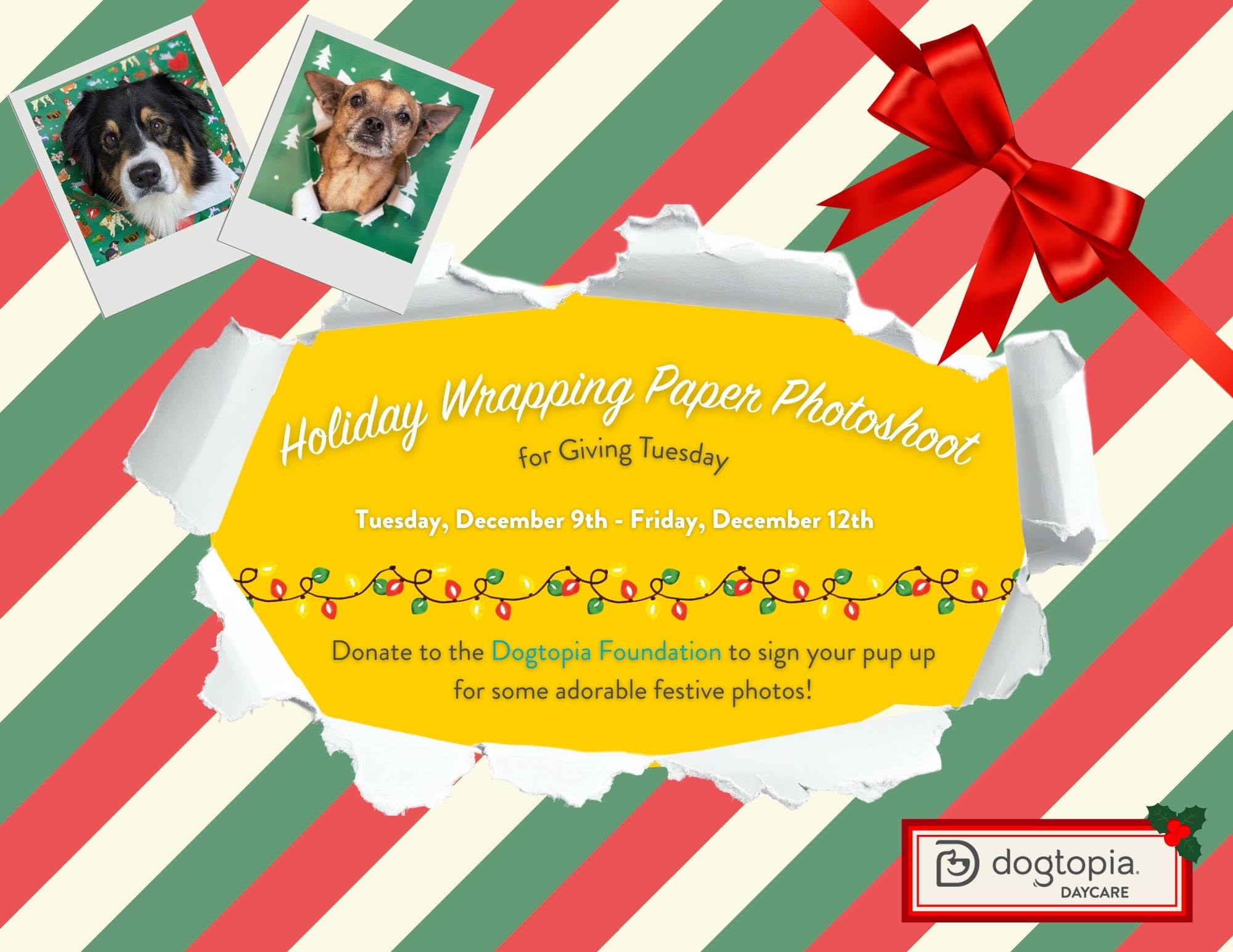 Wrapping Paper Photoshoot for Giving Tuesday! - Bellevue