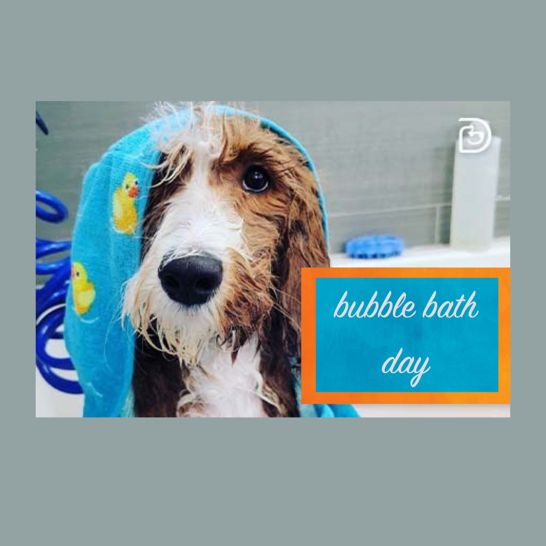 1/8 - National Bubble Bath Day - Solon