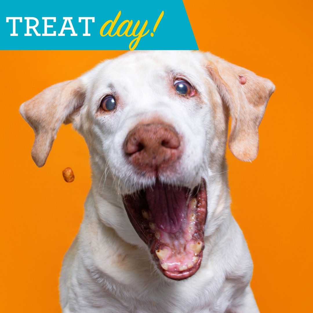 National Peanut Butter Lovers Day! - Solon