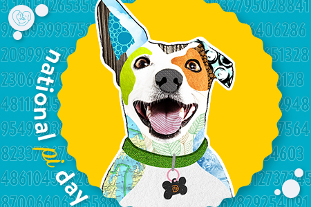 National Pi Day - North Hampton