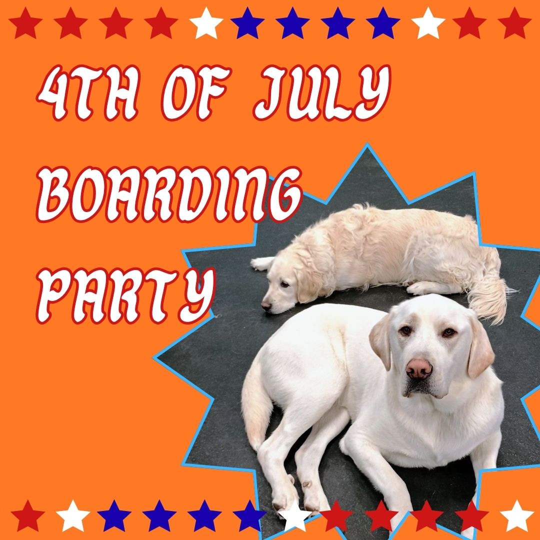 4th of July Boarding Party - Papillion - Shadow Lake