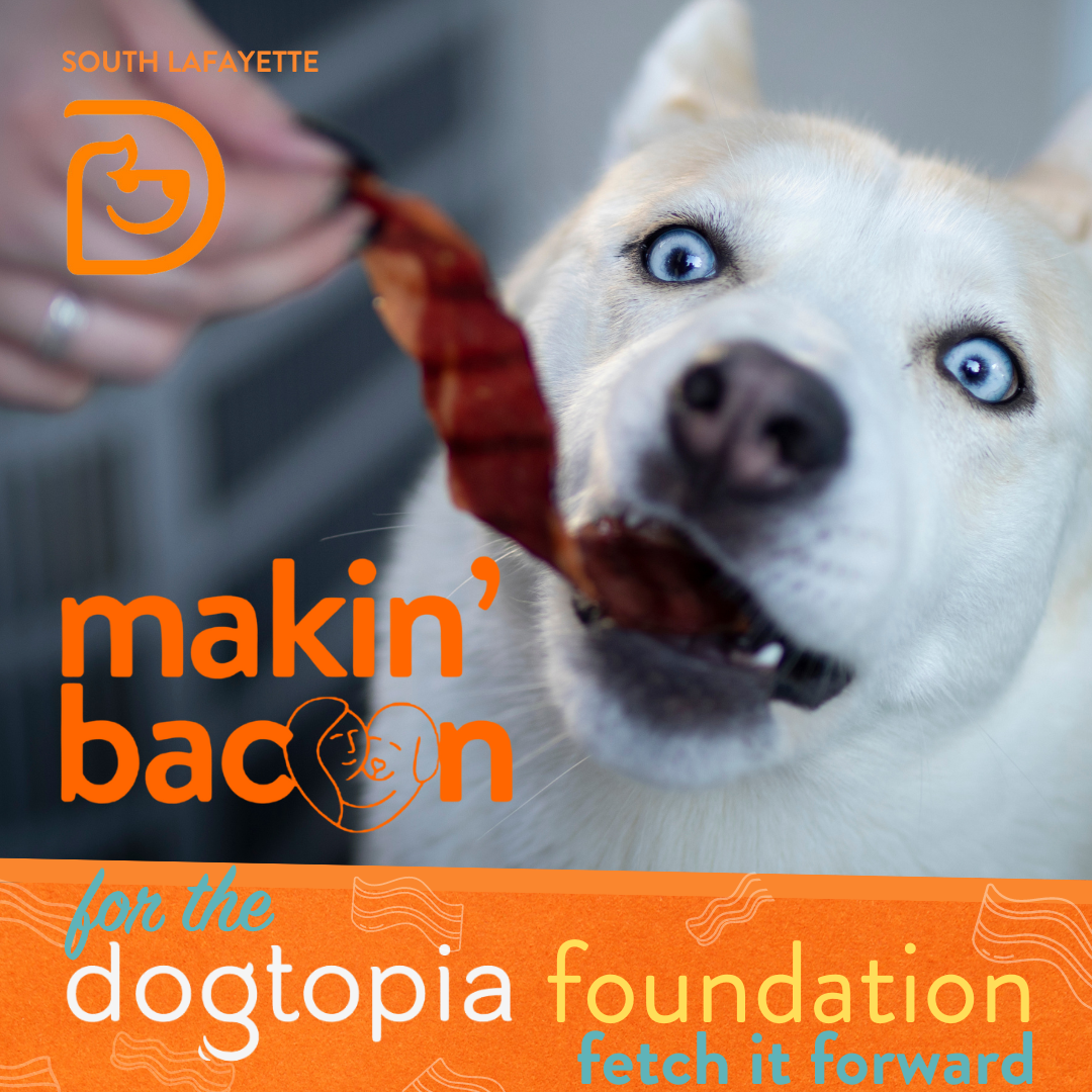 Makin' Bacon - South Lafayette