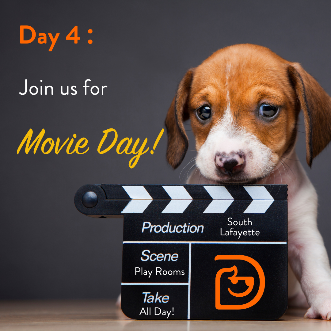 Movie Day - South Lafayette