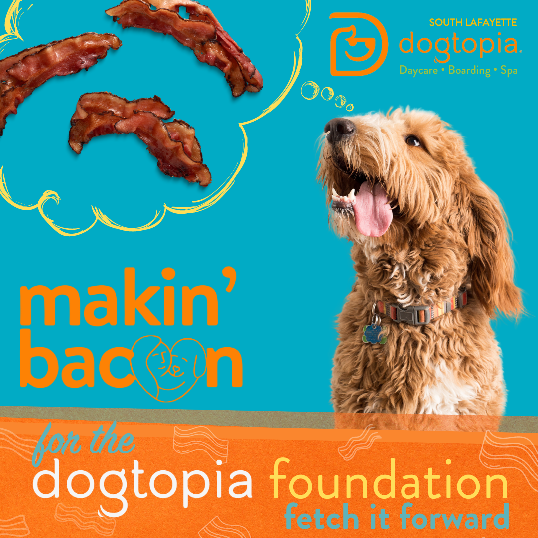 Makin' Bacon - South Lafayette