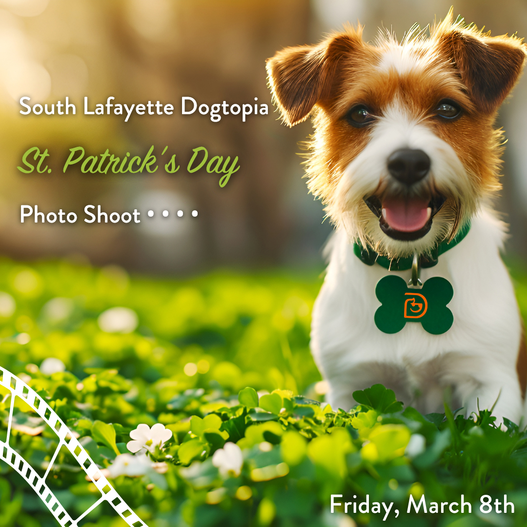 St. Patty's Day Photo Shoot & Treats - South Lafayette