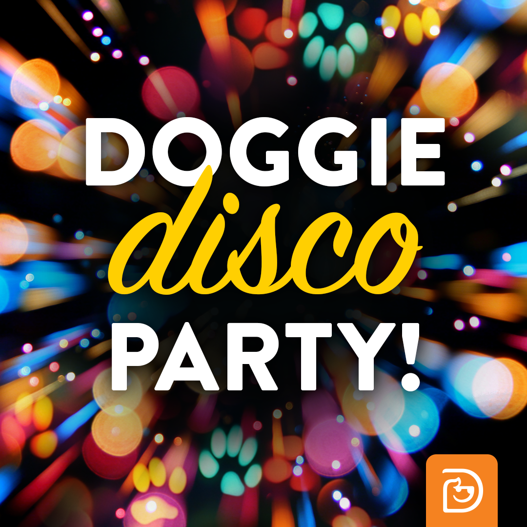 Disco Day - South Lafayette